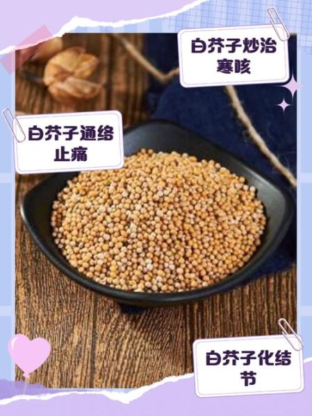 白芥子功效与作用_白芥子禁忌有哪些-第3张图片-山城妙识 白芥子功效与作用_白芥子禁忌有哪些-第3张图片-山城妙识