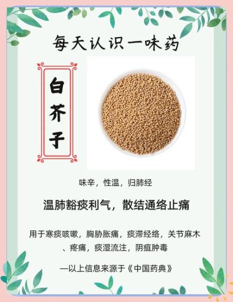 白芥子功效与作用_白芥子禁忌有哪些-第1张图片-山城妙识 白芥子功效与作用_白芥子禁忌有哪些-第1张图片-山城妙识