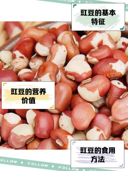 豇豆读音为什么不改成gang_豇字读音历史溯源-第3张图片-山城妙识