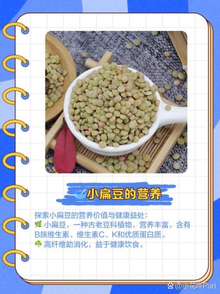 小扁豆的功效与作用_小扁豆的禁忌人群-第2张图片-山城妙识 小扁豆的功效与作用_小扁豆的禁忌人群-第2张图片-山城妙识
