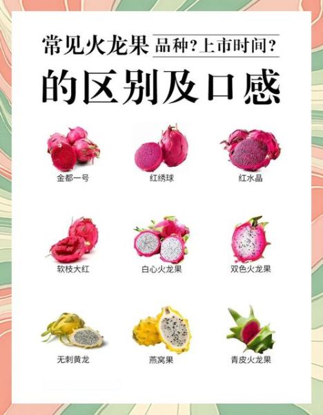 火龙果上火还是降火_吃火龙果会不会上火-第2张图片-山城妙识