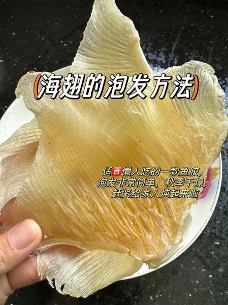 干鱼翅怎么泡发_干鱼翅泡发多久才软-第3张图片-山城妙识