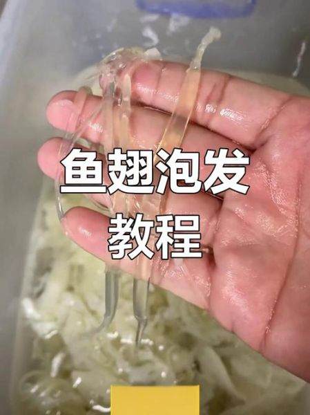 干鱼翅怎么泡发_干鱼翅泡发多久才软-第2张图片-山城妙识