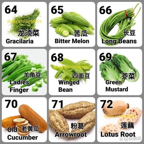 129种蔬菜名字照片_如何快速识别常见蔬菜-第3张图片-山城妙识