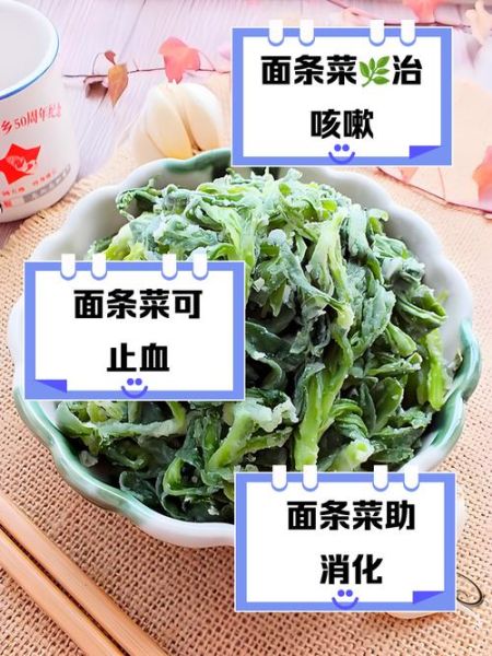 面条菜的营养价值_面条菜的功效与作用-第1张图片-山城妙识 面条菜的营养价值_面条菜的功效与作用-第1张图片-山城妙识