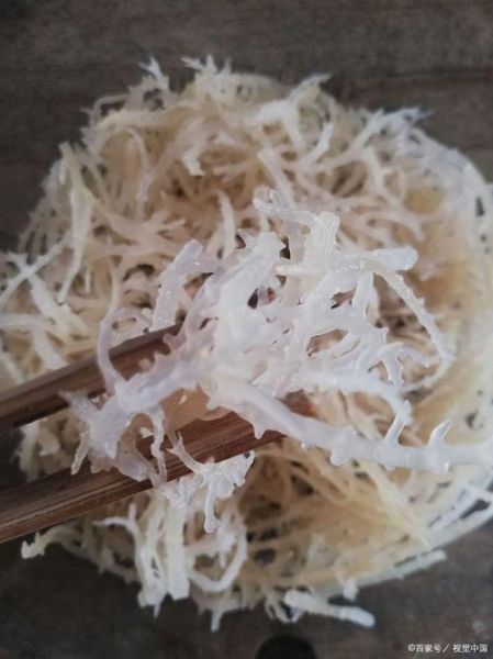 石花菜是什么植物_石花菜和龙须菜的区别-第2张图片-山城妙识