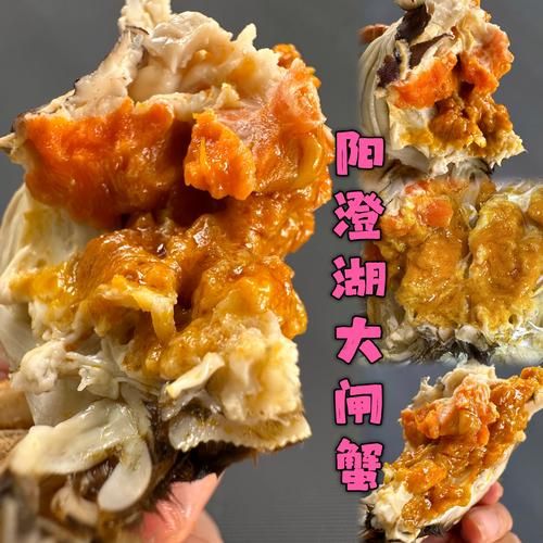 阳澄湖大闸蟹多少钱一斤_2024最新价格-第3张图片-山城妙识 阳澄湖大闸蟹多少钱一斤_2024最新价格-第3张图片-山城妙识