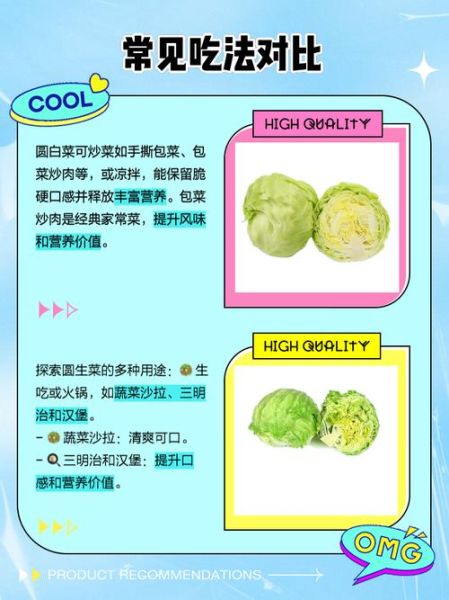 圆白菜是不是包菜_包菜和圆白菜的区别-第2张图片-山城妙识