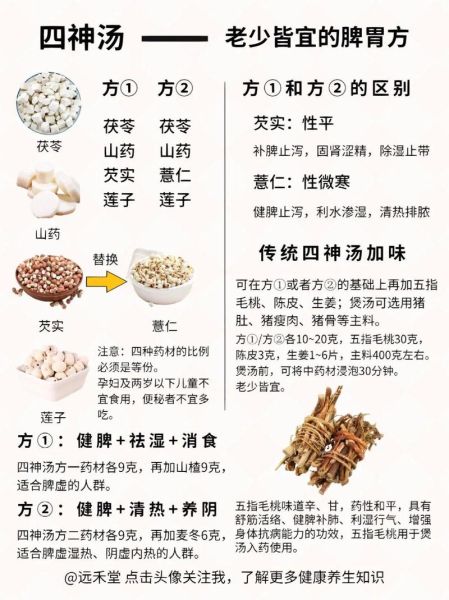 药膳汤有哪些药材_适合四季的配方-第3张图片-山城妙识 药膳汤有哪些药材_适合四季的配方-第3张图片-山城妙识