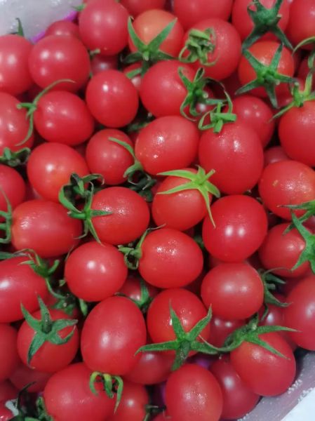 万圣节吃什么水果_万圣节水果推荐-第1张图片-山城妙识