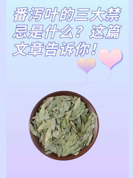 番泻叶泡水喝的禁忌_哪些人不能喝-第3张图片-山城妙识 番泻叶泡水喝的禁忌_哪些人不能喝-第3张图片-山城妙识