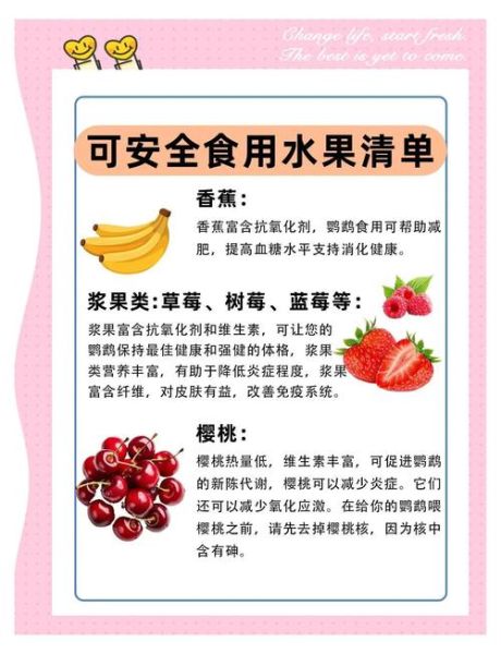 红嘴绿鹦哥怎么养_红嘴绿鹦哥吃什么-第2张图片-山城妙识 红嘴绿鹦哥怎么养_红嘴绿鹦哥吃什么-第2张图片-山城妙识