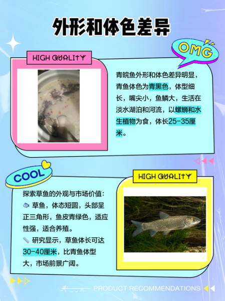 皖鱼是草鱼吗_皖鱼和草鱼区别-第1张图片-山城妙识