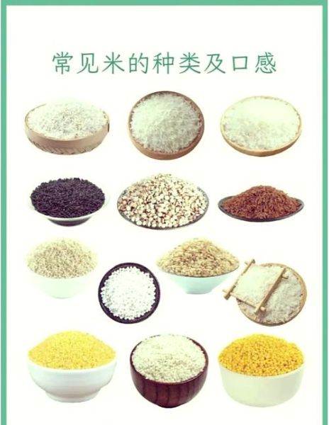 梗米和粳米是一种米吗_粳米与梗米区别-第2张图片-山城妙识 梗米和粳米是一种米吗_粳米与梗米区别-第2张图片-山城妙识