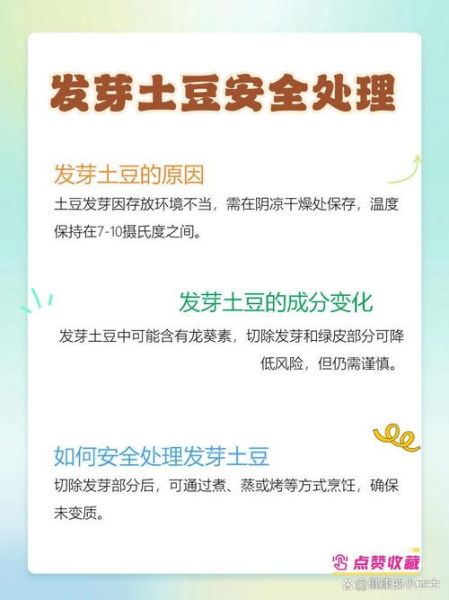 土豆发芽怎么处理才能吃_土豆发芽去掉芽还能吃吗-第3张图片-山城妙识 土豆发芽怎么处理才能吃_土豆发芽去掉芽还能吃吗-第3张图片-山城妙识