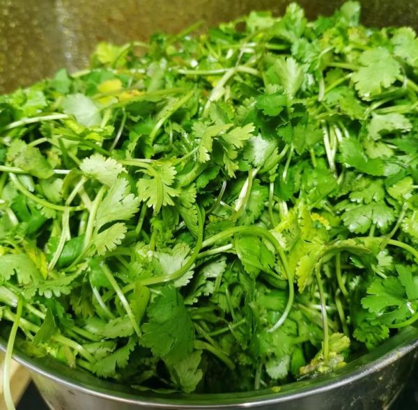 香菜饺子馅需要葱姜蒜吗_不放行不行-第2张图片-山城妙识 香菜饺子馅需要葱姜蒜吗_不放行不行-第2张图片-山城妙识