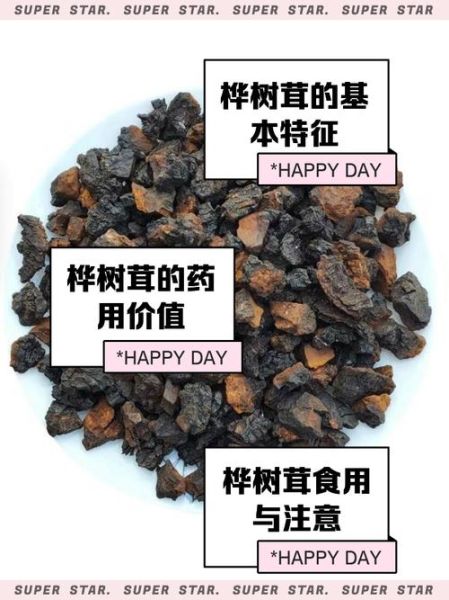 桦树茸的功效与作用_桦树茸怎么吃效果最好-第2张图片-山城妙识