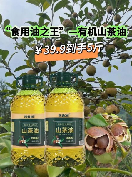 山茶油哪个牌子的正宗_正宗山茶油品牌推荐-第1张图片-山城妙识