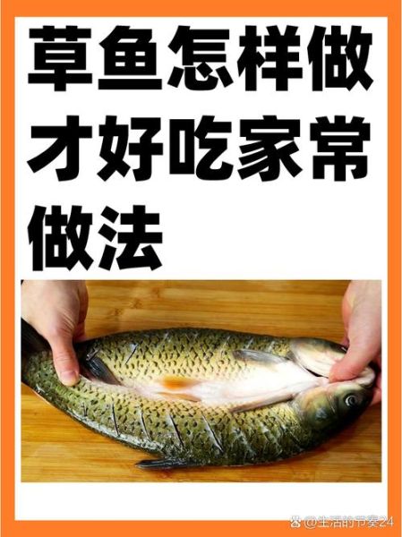 红烧草鲤鱼怎么做好吃_家常红烧草鲤鱼的做法步骤-第3张图片-山城妙识 红烧草鲤鱼怎么做好吃_家常红烧草鲤鱼的做法步骤-第3张图片-山城妙识