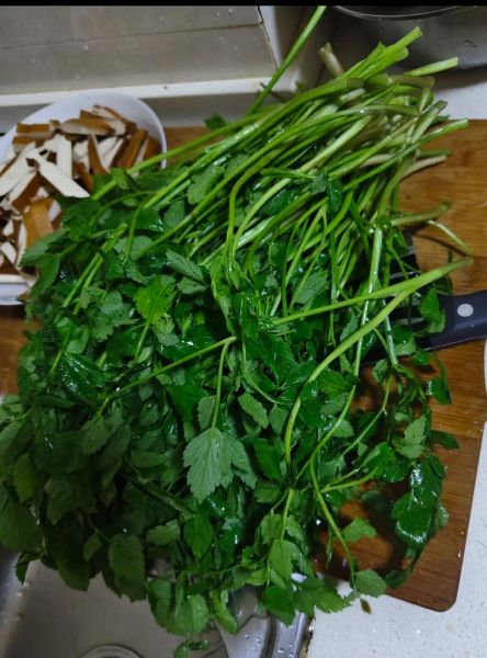 野生芹菜怎么做好吃_野生芹菜的做法大全-第1张图片-山城妙识