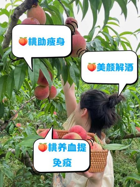 桃子有哪些功效与作用_桃子怎么吃最营养-第3张图片-山城妙识 桃子有哪些功效与作用_桃子怎么吃最营养-第3张图片-山城妙识