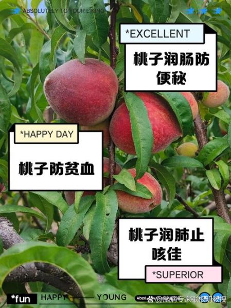 桃子有哪些功效与作用_桃子怎么吃最营养-第1张图片-山城妙识 桃子有哪些功效与作用_桃子怎么吃最营养-第1张图片-山城妙识