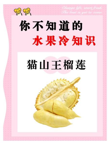 榴莲怎么吃好吃又简单_榴莲最简单的吃法-第3张图片-山城妙识 榴莲怎么吃好吃又简单_榴莲最简单的吃法-第3张图片-山城妙识