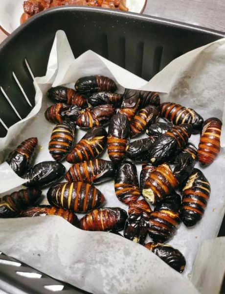 油炸蚕蛹的家常做法_蚕蛹怎么炸才酥脆-第2张图片-山城妙识