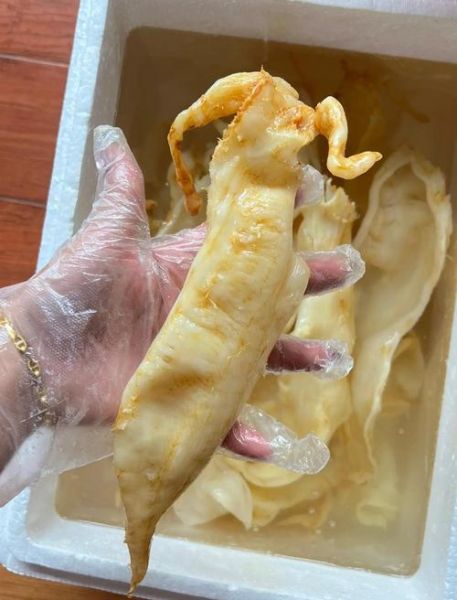 鱼胶怎样泡发最好_鱼胶泡发多久最合适-第2张图片-山城妙识 鱼胶怎样泡发最好_鱼胶泡发多久最合适-第2张图片-山城妙识