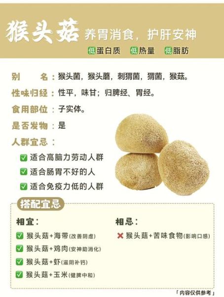 猴头菇的功效与禁忌_哪些人不能吃-第1张图片-山城妙识