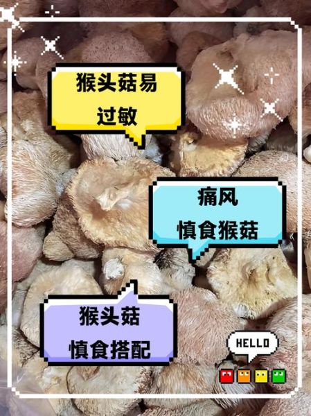猴头菇的功效与禁忌_哪些人不能吃-第3张图片-山城妙识