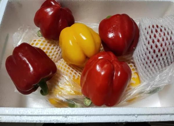 彩椒怎么保存_彩椒可以生吃吗-第2张图片-山城妙识