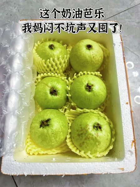 芭乐app下载官方地址在哪里_芭乐app安全吗-第3张图片-山城妙识 芭乐app下载官方地址在哪里_芭乐app安全吗-第3张图片-山城妙识