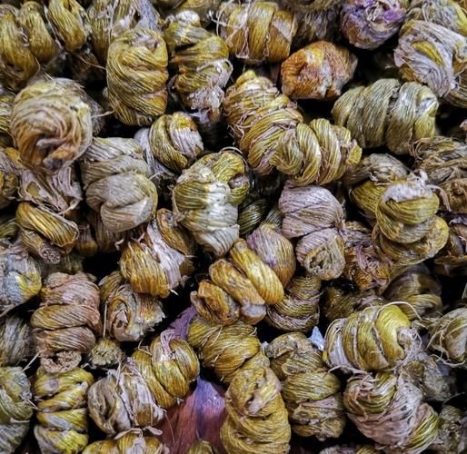 铁皮枫斗适合什么人吃_铁皮枫斗不适宜人群有哪些-第2张图片-山城妙识 铁皮枫斗适合什么人吃_铁皮枫斗不适宜人群有哪些-第2张图片-山城妙识