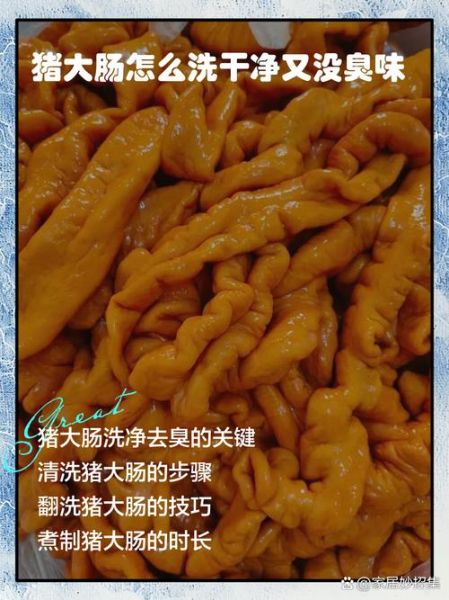 洗肥肠用什么洗最好_肥肠怎么洗才干净无异味-第1张图片-山城妙识 洗肥肠用什么洗最好_肥肠怎么洗才干净无异味-第1张图片-山城妙识