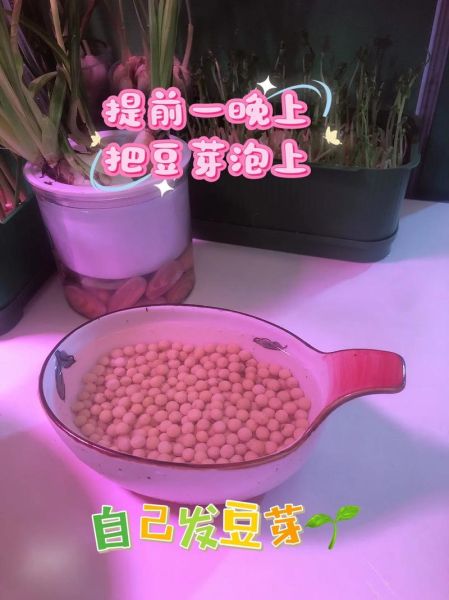 怎么发黄豆芽_在家发黄豆芽的方法-第3张图片-山城妙识 怎么发黄豆芽_在家发黄豆芽的方法-第3张图片-山城妙识