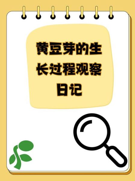 怎么发黄豆芽_在家发黄豆芽的方法-第2张图片-山城妙识 怎么发黄豆芽_在家发黄豆芽的方法-第2张图片-山城妙识