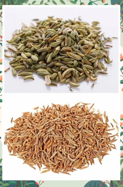 小茴香和孜然一样吗_区别与用途-第3张图片-山城妙识 小茴香和孜然一样吗_区别与用途-第3张图片-山城妙识