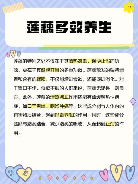 藕水能天天喝吗_藕水的功效与作用-第1张图片-山城妙识 藕水能天天喝吗_藕水的功效与作用-第1张图片-山城妙识