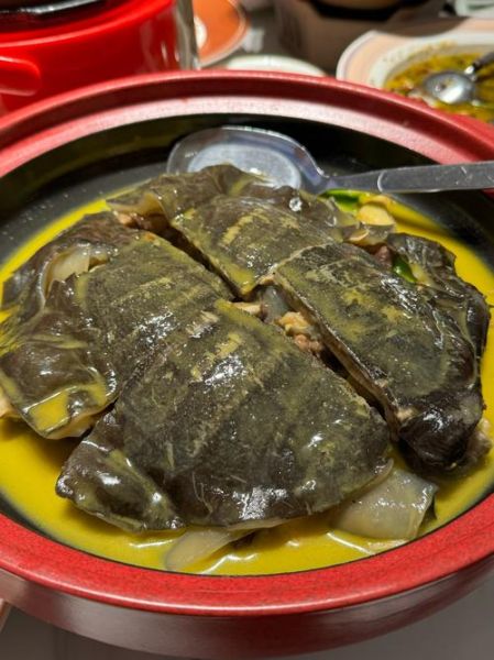 甲鱼和什么一起炖最好_甲鱼炖汤最佳搭配-第1张图片-山城妙识 甲鱼和什么一起炖最好_甲鱼炖汤最佳搭配-第1张图片-山城妙识