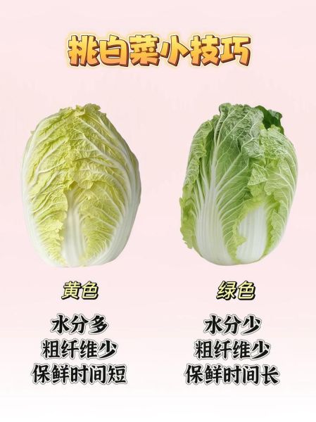 蔬菜批发生意进货技巧_如何挑选优质货源-第2张图片-山城妙识