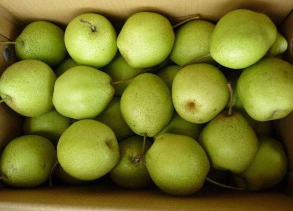 吃什么水果可以去火_哪些水果降火效果最好-第2张图片-山城妙识 吃什么水果可以去火_哪些水果降火效果最好-第2张图片-山城妙识