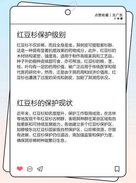 国家为什么禁止种植红豆杉_红豆杉树禁种原因-第2张图片-山城妙识