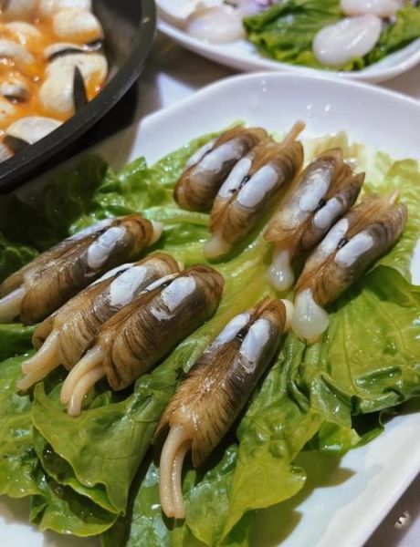 卜卜贝是海鲜吗_卜卜贝属于什么类-第2张图片-山城妙识