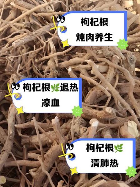 枸杞根煲汤有什么功效_枸杞根煲汤的做法步骤-第2张图片-山城妙识 枸杞根煲汤有什么功效_枸杞根煲汤的做法步骤-第2张图片-山城妙识