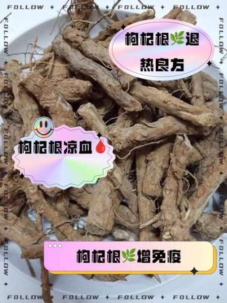 枸杞根煲汤有什么功效_枸杞根煲汤的做法步骤-第1张图片-山城妙识 枸杞根煲汤有什么功效_枸杞根煲汤的做法步骤-第1张图片-山城妙识