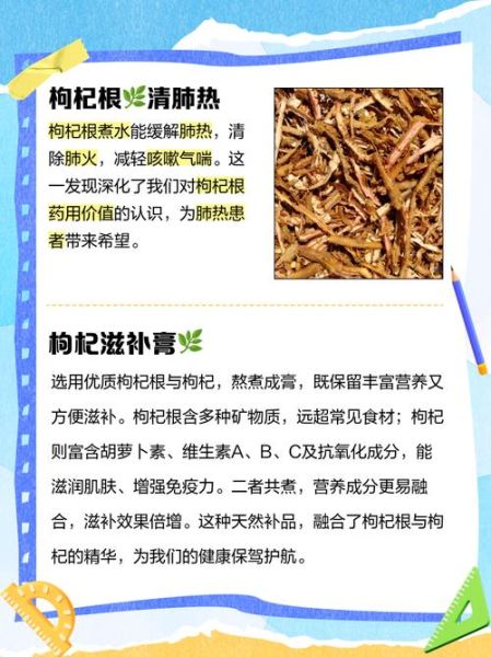 枸杞根煲汤有什么功效_枸杞根煲汤的做法步骤-第3张图片-山城妙识 枸杞根煲汤有什么功效_枸杞根煲汤的做法步骤-第3张图片-山城妙识