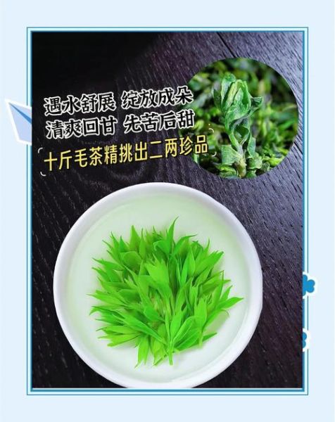 小叶苦丁茶能减肥吗_小叶苦丁茶的功效与作用-第1张图片-山城妙识 小叶苦丁茶能减肥吗_小叶苦丁茶的功效与作用-第1张图片-山城妙识