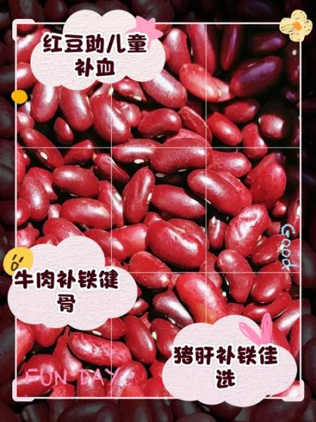 儿童补血吃什么食物最好_儿童贫血吃什么补血最快-第1张图片-山城妙识