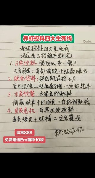南美白对虾养殖骗局有哪些套路_如何避免养殖陷阱-第2张图片-山城妙识